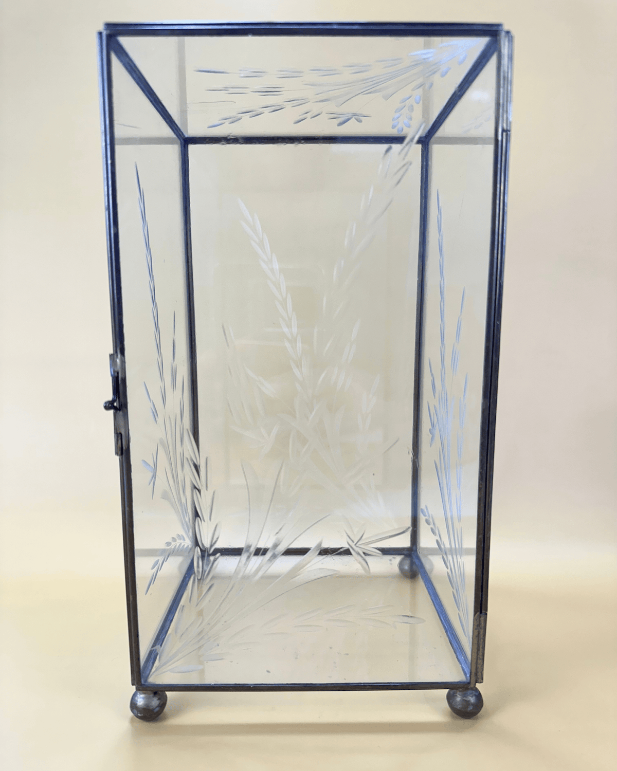 Display Case with Etched Glass – Native Gardeners